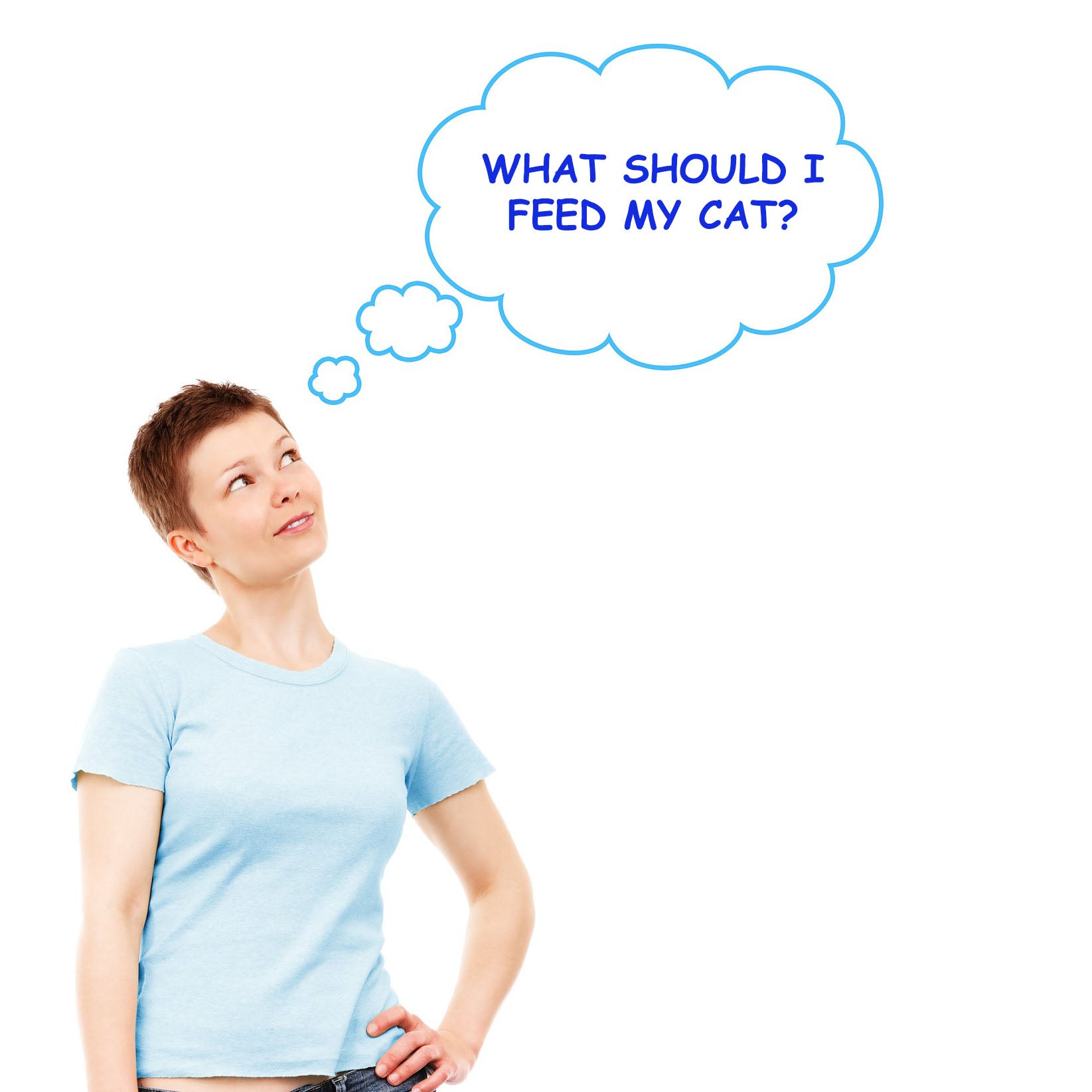 What to Feed a Cat throughout Its Lifecycle Free Infographic - Allivet ...